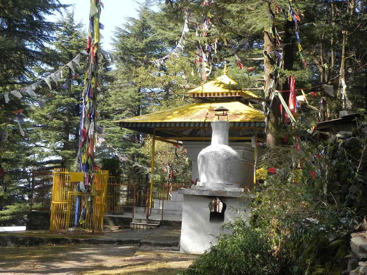 Northern India: Spirit, Serenity & Sacred Landscapes - with Rachel Hun ...